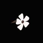 ¿Qué es la Bikina? El misterioso significado detrás de una canción ...